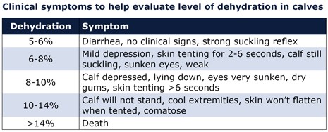 Rehydration therapy.cmap